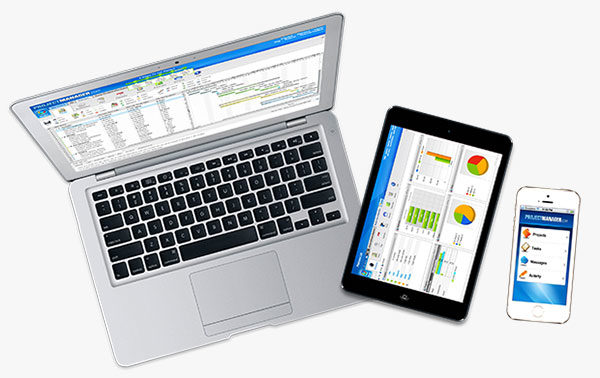 Online Project Management Software - ProjectManager.com