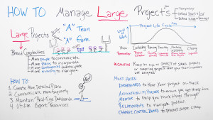 How to Manage Large Projects - ProjectManager.com