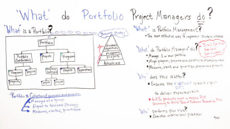 Key Portfolio Manager Responsibilities - Projectmanager.com