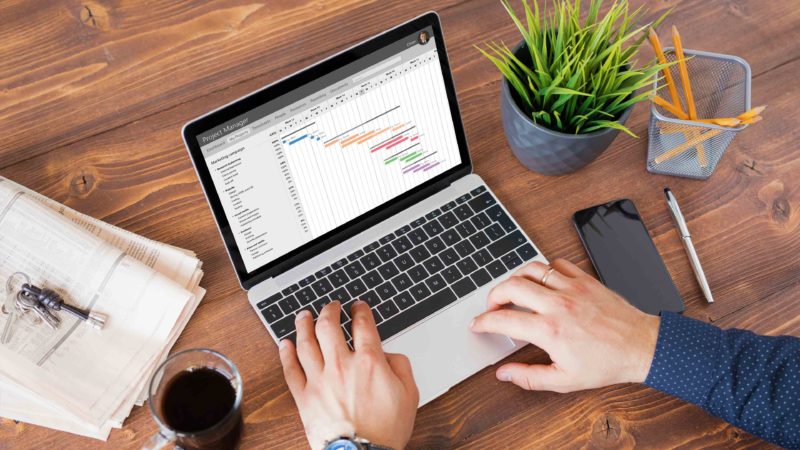 Microsoft Project Viewer - View & Edit MPP Files Online