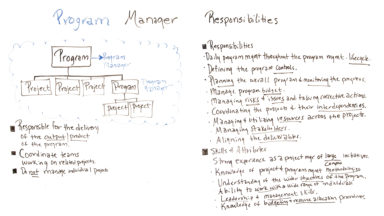What is a Program Manager and What are They Responsible For ...