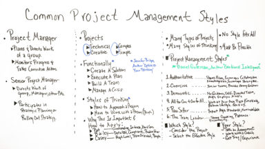 Common Project Management Styles - ProjectManager.com