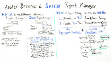 How to Become a Senior Project Manager - ProjectManager