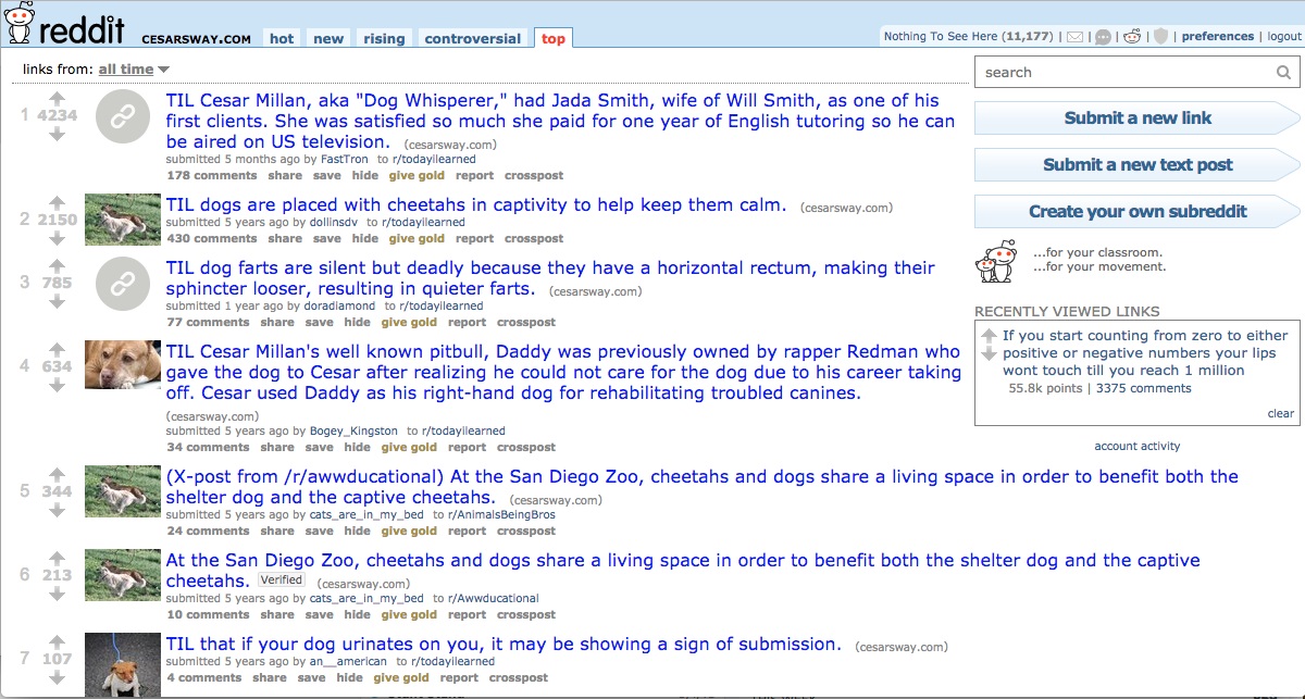 10 Ways to Generate Blog Ideas - ProjectManager.com