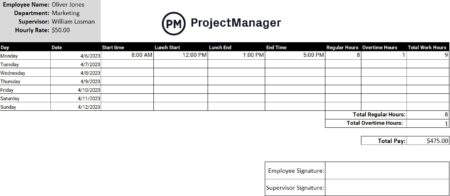 Timesheets: How to Use Project Timesheets - ProjectManager