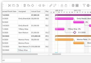 Waterfall Software - Plan & Schedule Waterfall Projects