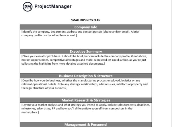 Small Business Plan Template 2023 