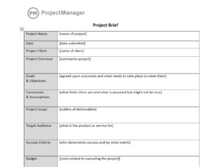 Project Brief Template for Word (Free Download)