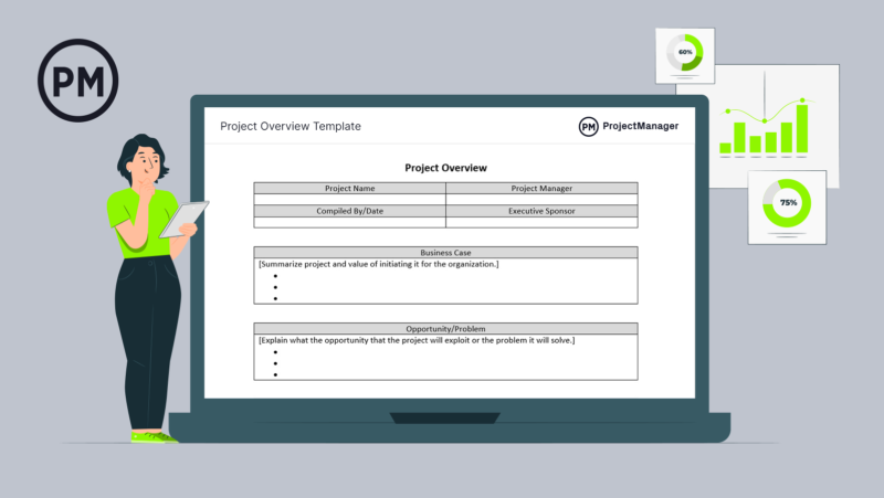 Project Overview Template for Word (Free Download)