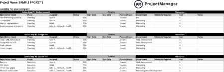Action Plan Template for Excel (Free Download) - ProjectManager