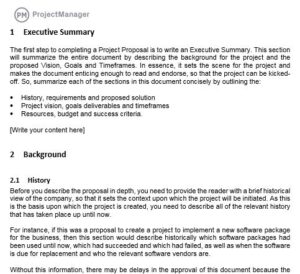 How to Write a Project Description: A Quick Guide