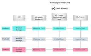 Matrix Organizational Structure: Examples & Template