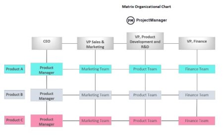 Matrix Organizational Structure: Examples & Template