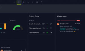Program Management Tools - Manage Programs Online ProjectManager