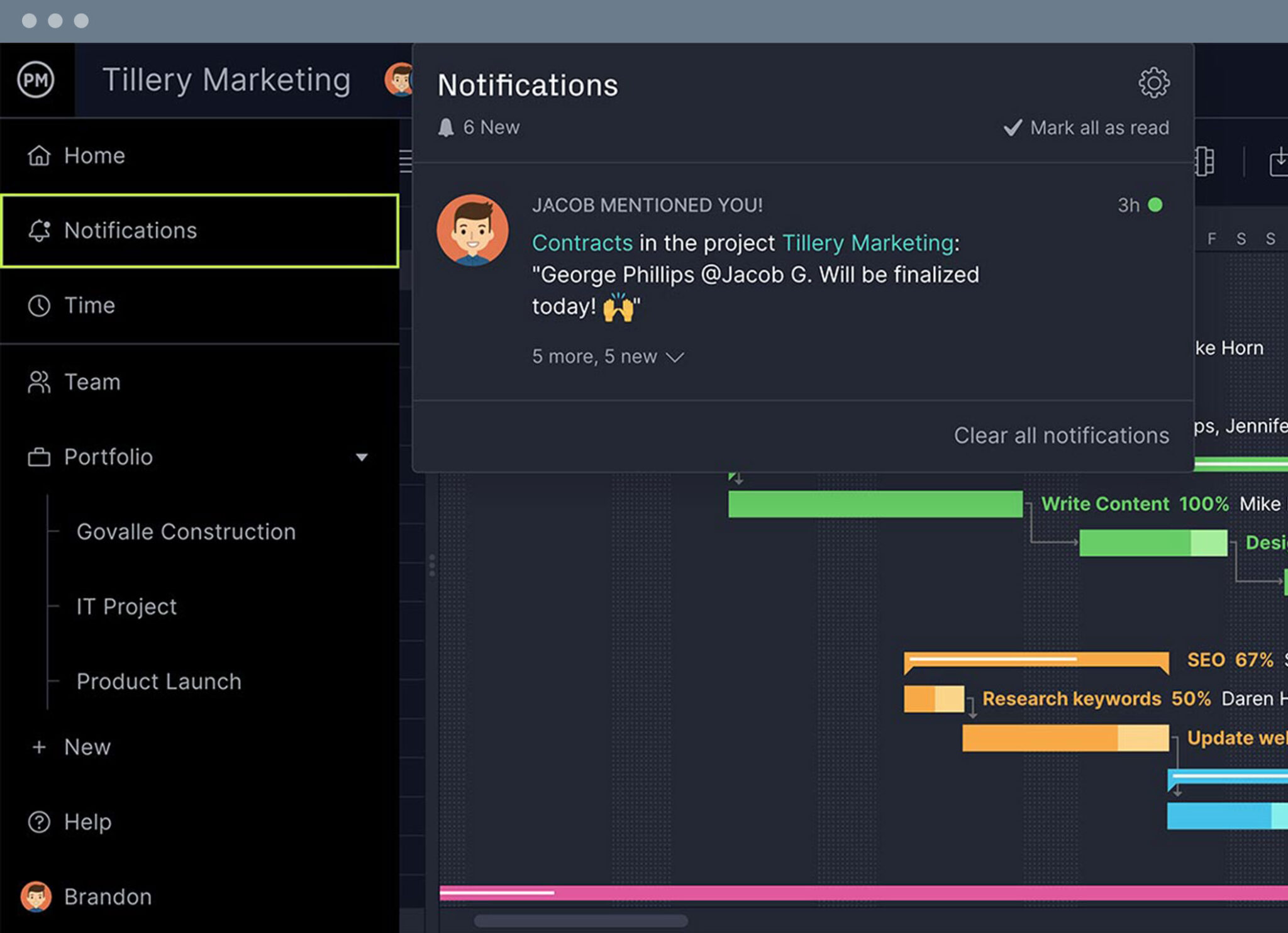 Project Collaboration Software Projectmanager