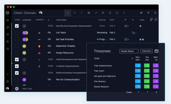 Project & Work Management Software - ProjectManager