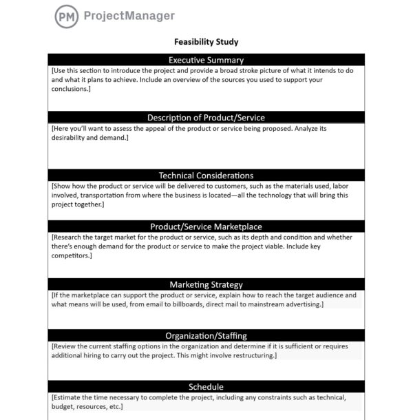 Feasibility Study Template For Word Free Download 