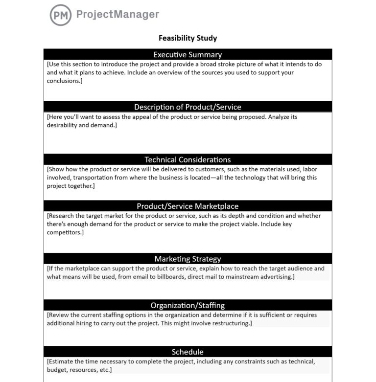 Feasibility Study Template MIT Printable