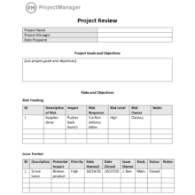 Project Review Template for Word (Free Download)