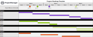 How to Make a Program Management Plan (Free Templates Included)