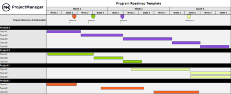 How to Make a Program Management Plan (Free Templates Included)