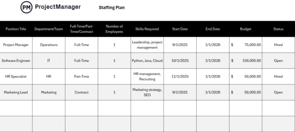 Staffing Plan Template for Excel (Free Download)