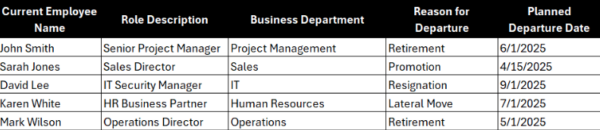 Succession Plan Template for Excel (Free Download)