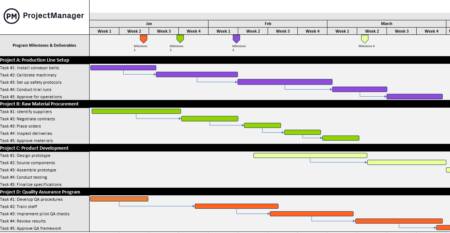Program Roadmap Template for Excel (Free Download)