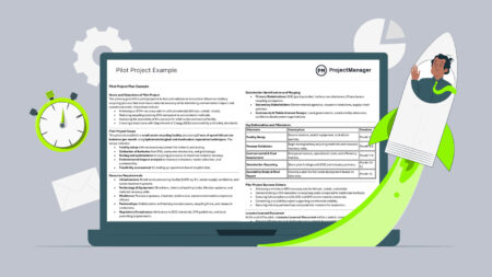 Pilot Project: Meaning, Benefits and Example