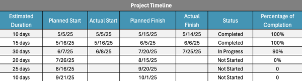Project Execution Plan Template for Excel (Free Download)
