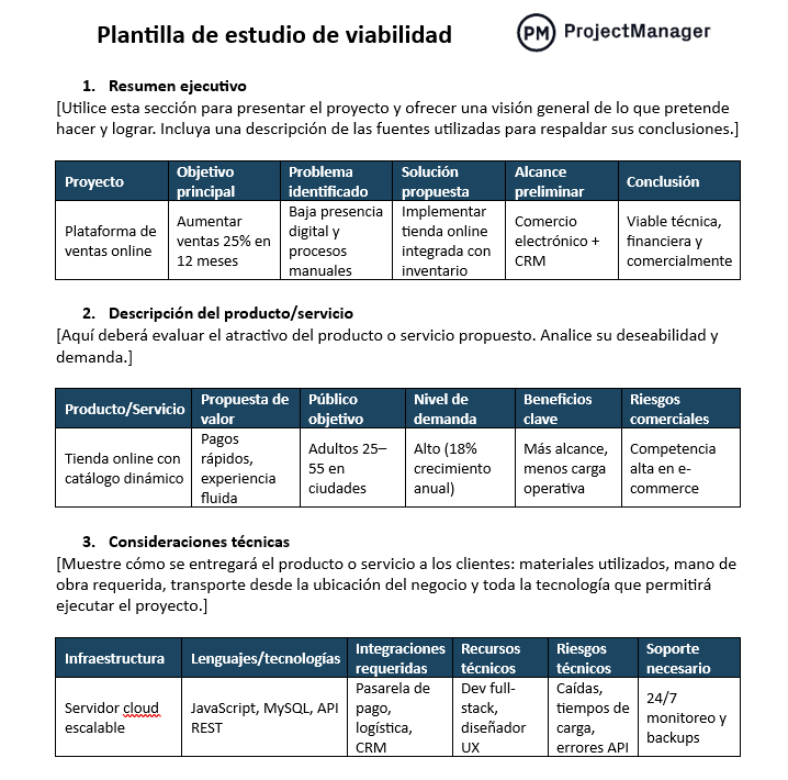 Plantilla de estudio de viabilidad (descarga gratis) - ProjectManager