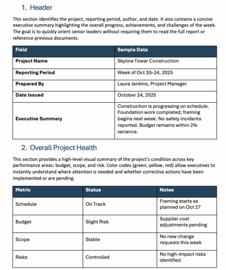 Executive Project Status Report Template for Word (Free Download)