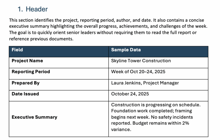 Executive Project Status Report Template for Word (Free Download)